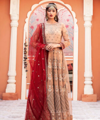 Biggest Range of Pakistani Designers Suits - Resham Fabrics